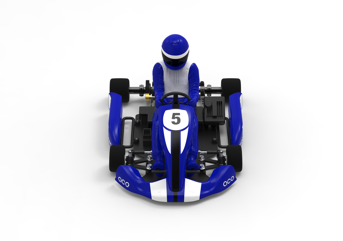Team Saxo GK-200-PRO 1/8 RC Go Kart Kit ARTR Blue w Lipo – Naughty Boy RC